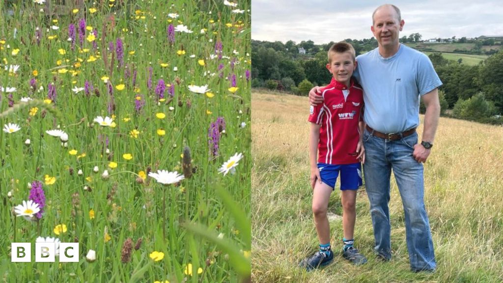 Y fferm aeth nôl i natur - BBC Cymru Fyw