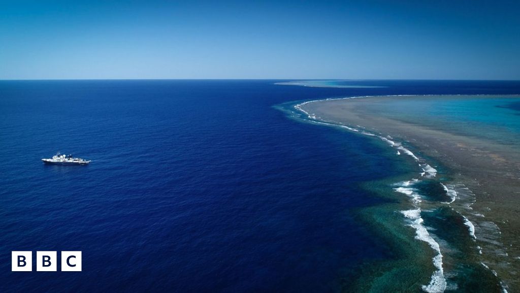 Great Barrier Reef: Giant coral reef discovered for first time in over ...