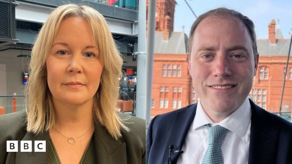 Galw am wella'r system gwynion am Aelodau'r Senedd - BBC Cymru Fyw