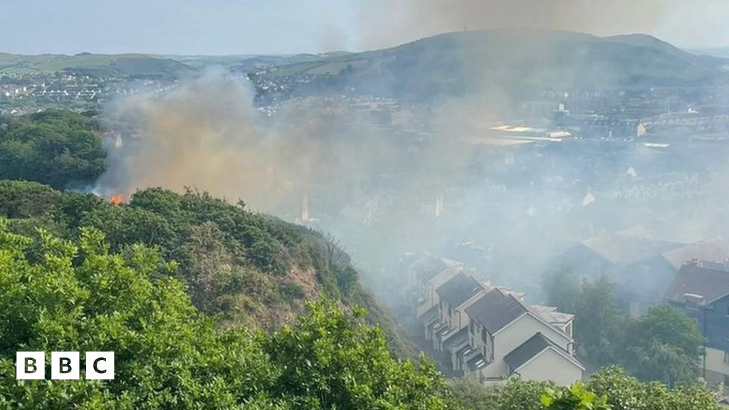 Symud pobl yn Aberystwyth wedi tân mewn parc natur - BBC Cymru Fyw