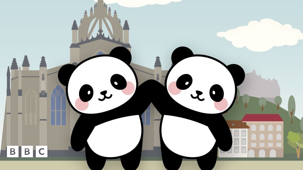 Giant Pandas: Scotland's favourite panda pair to stay for two more ...