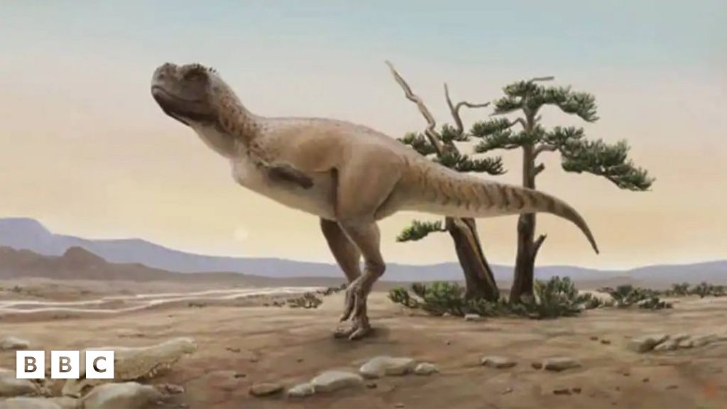 Brazil dinosaur discovered from 70 million years ago! - BBC Newsround