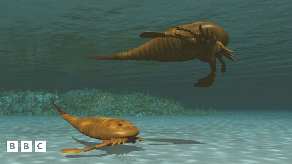 New Mexico scientists find ancient giant sea scorpion - BBC Newsround