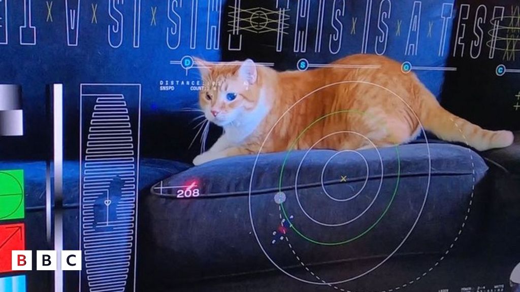 Nasa beams cat video into deep space with a laser - BBC Newsround
