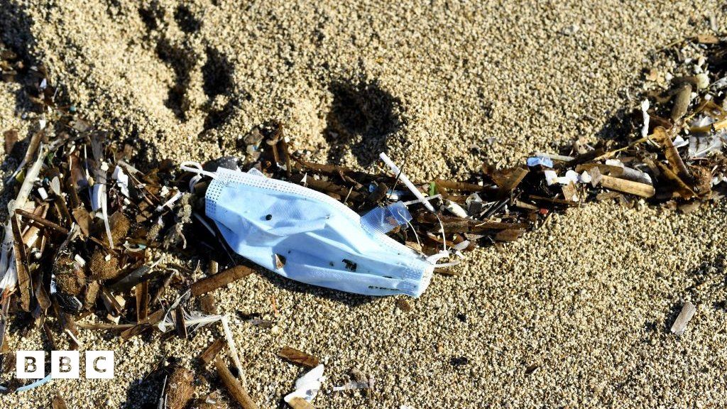 Great British Beach Clean finds a third of UK beaches littered with PPE ...