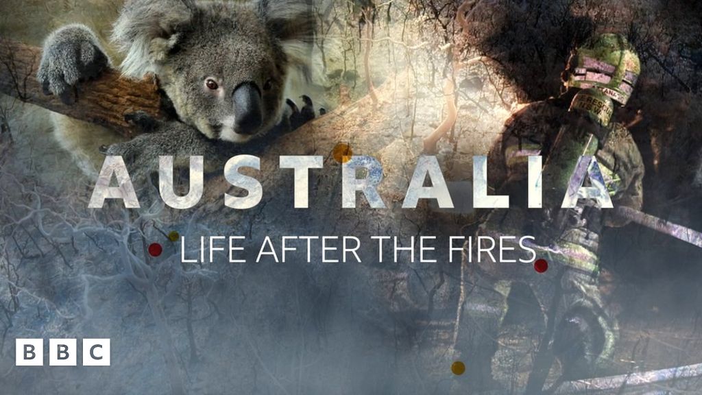 Australia fires: Life during and after the worst bushfires in history ...