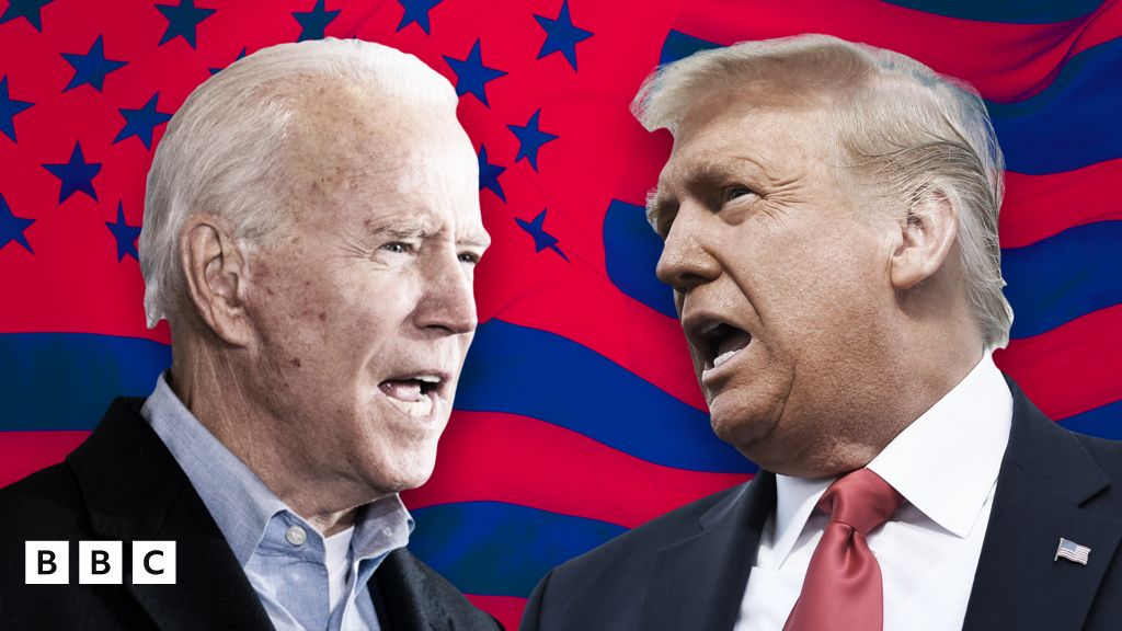 US Elections 2020: All you need to know - BBC Newsround