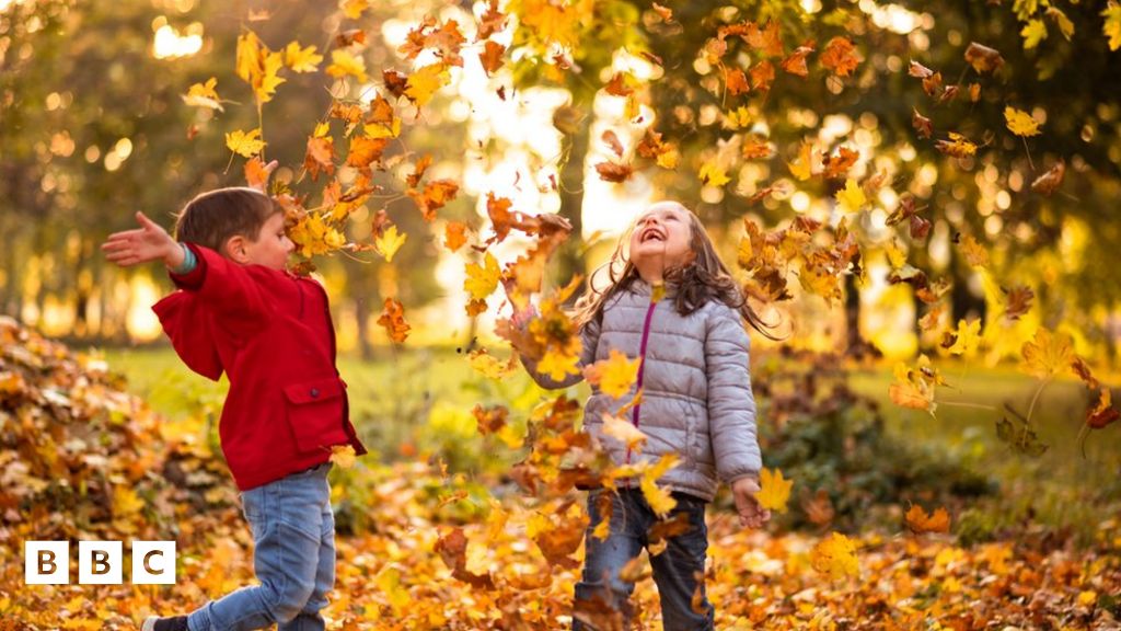 Warm weather this year means autumn leaves could be extra special - BBC ...