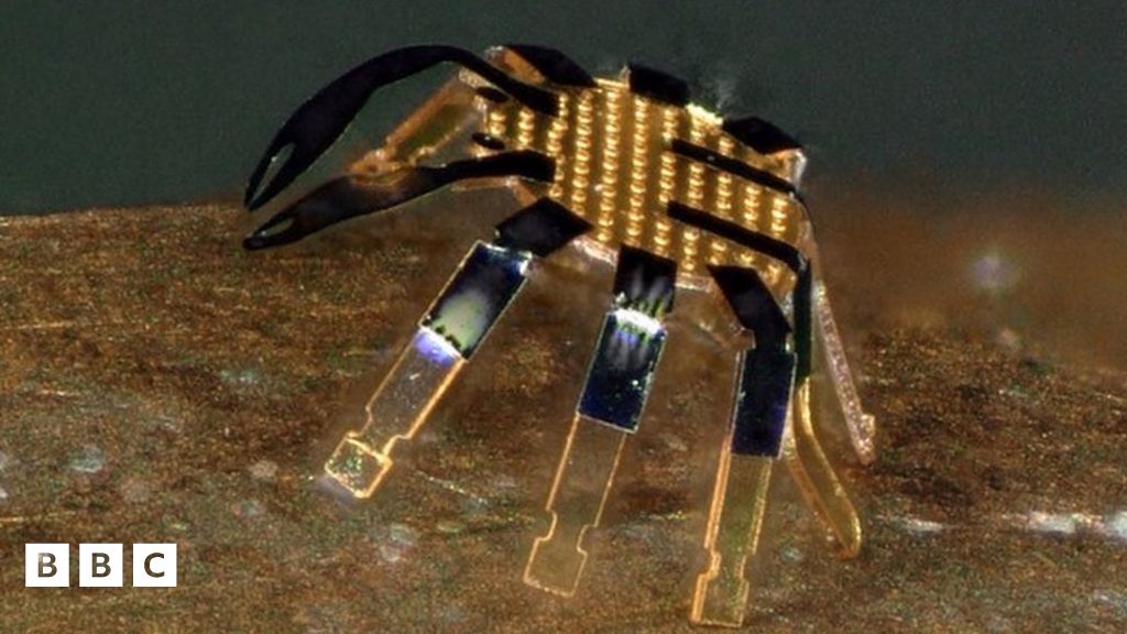 Robots: Tiny robot that's smaller than a flea - BBC Newsround