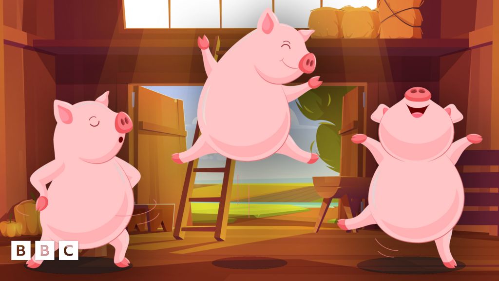 Belgian farmer discovers his pigs love to dance - BBC Newsround