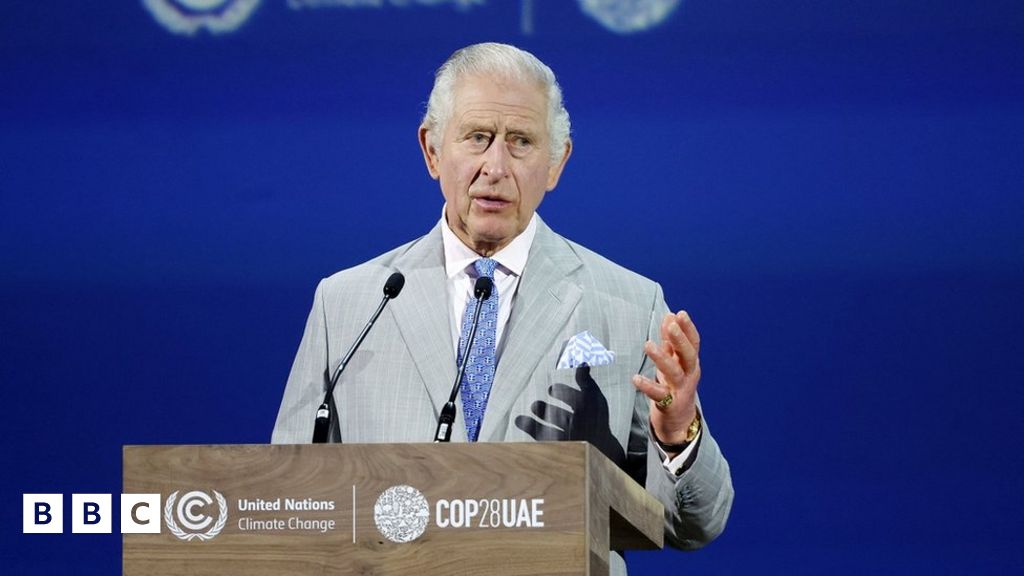 COP28: What's happened so far? - BBC Newsround