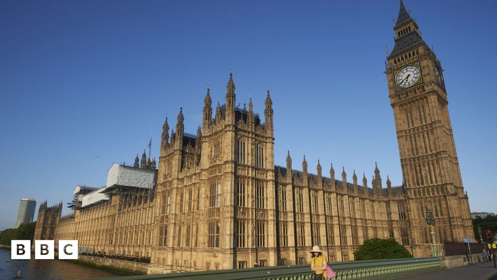 How are UK laws made? - BBC Newsround