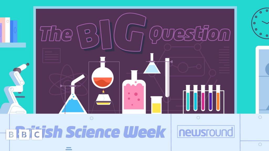 The Big Question: Send us your questions for British Science Week ...