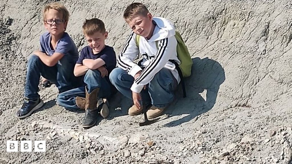 Dinosaurs: Teen Tyrannosaurus rex fossil found by school children - BBC ...