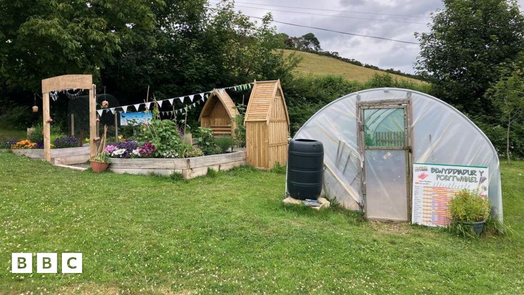 Datblygu system dyfrio planhigion awtomatig - BBC Cymru Fyw