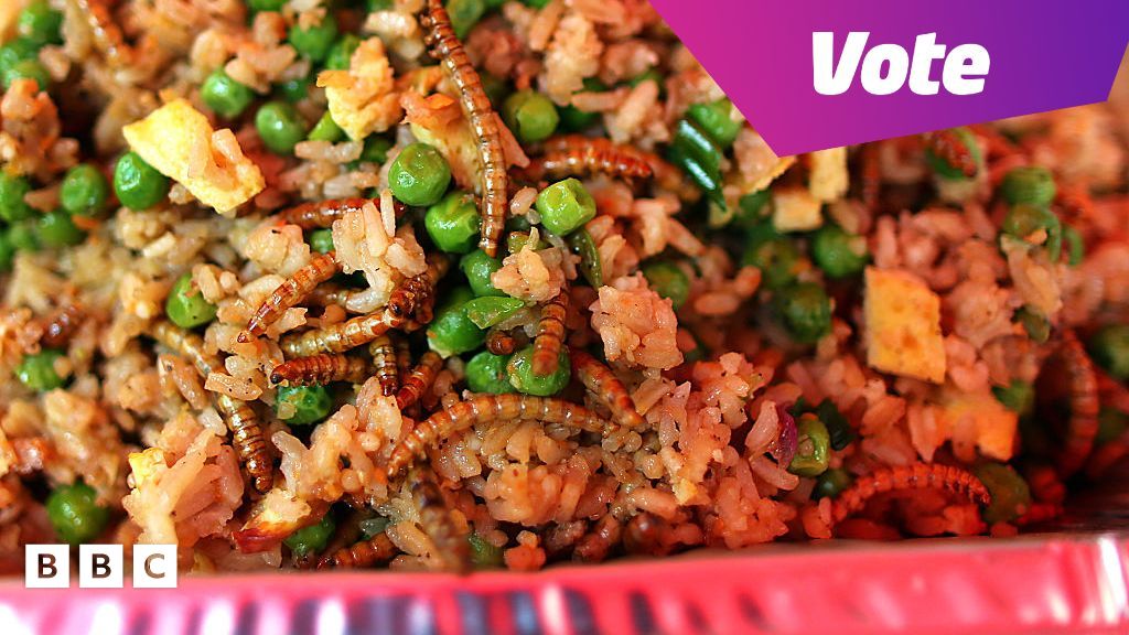 Eating insects: Could eating bugs become the norm? - BBC Newsround