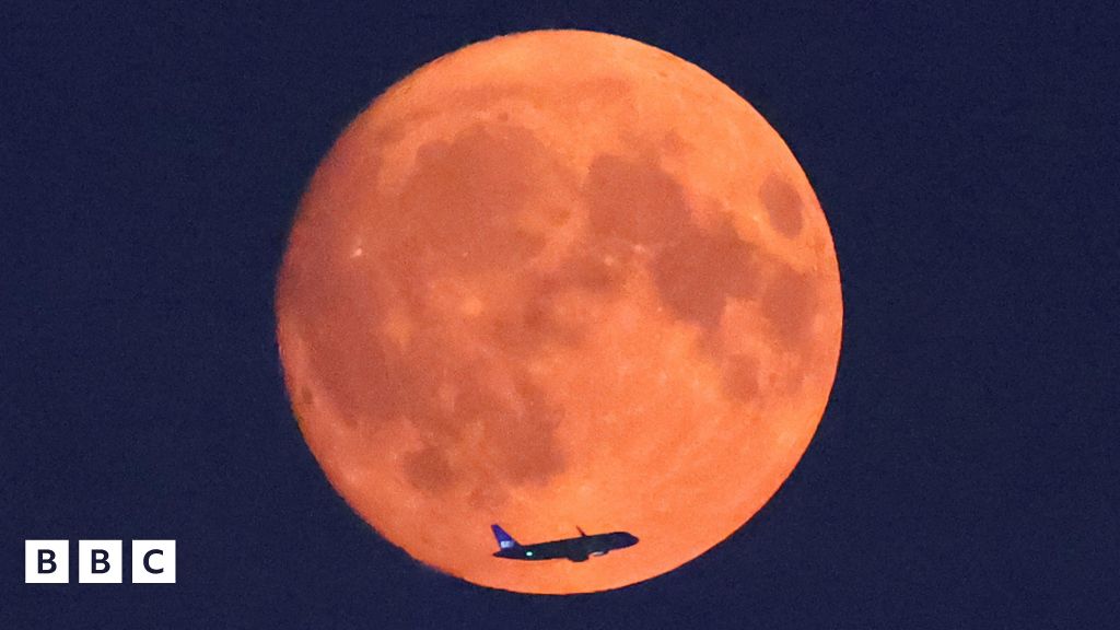 Why is the Blue Moon actually red? - BBC Newsround