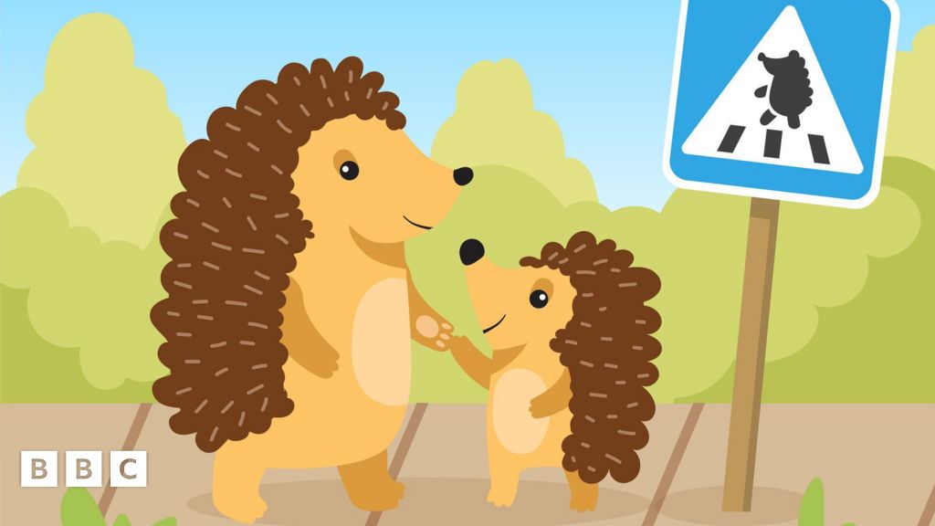 England introduces first official hedgehog crossing signs - BBC Newsround