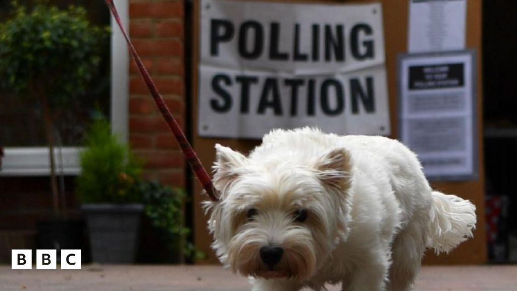 General election 2024: How do you vote? - BBC Newsround