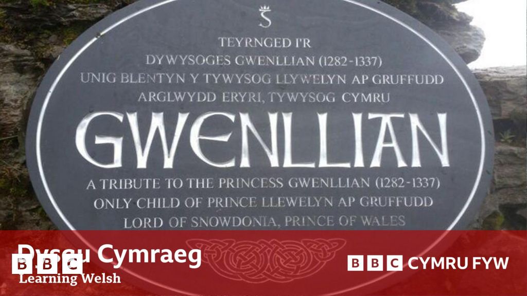 Pwy sy'n canu am Gwenllian? - BBC Cymru Fyw