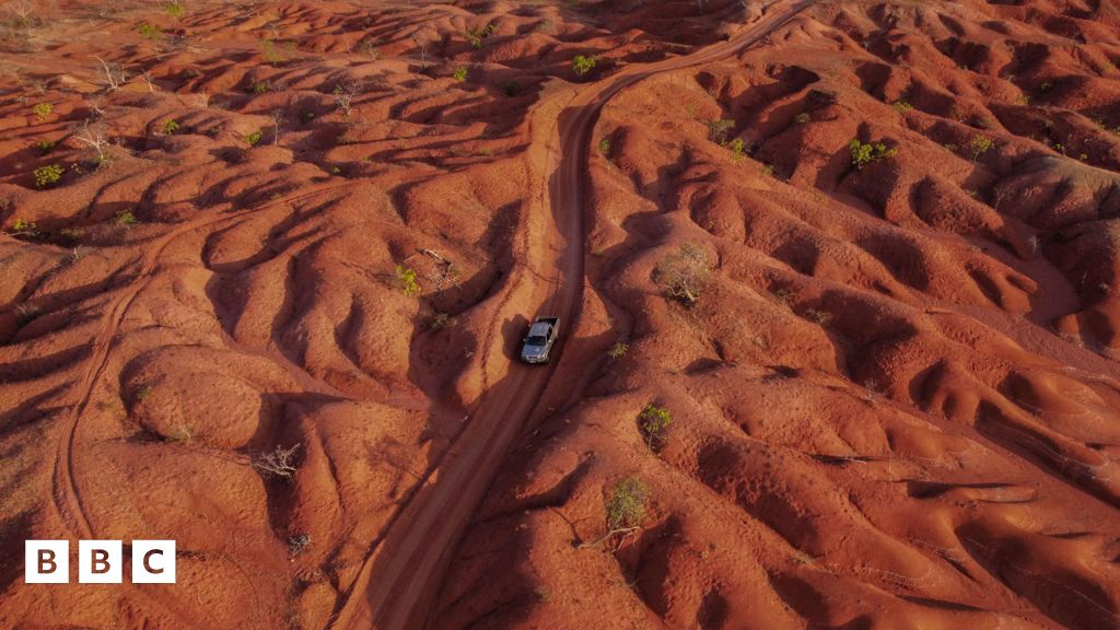 World Environment Day 2024: What is desertification - BBC Newsround