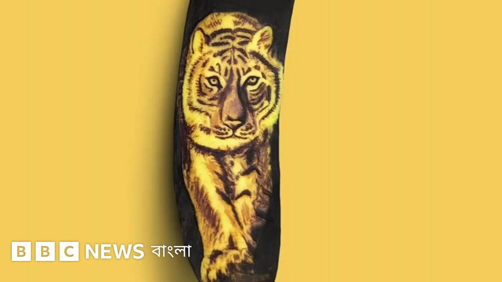 শিল্প: কলার খোসায় ছবি আঁকা যার নেশা - BBC News বাংলা