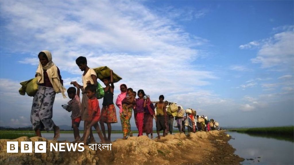 রোহিঙ্গা সঙ্কট: রাখাইনে নির্যাতনের লোমহর্ষক কয়েকটি ঘটনা - BBC News বাংলা