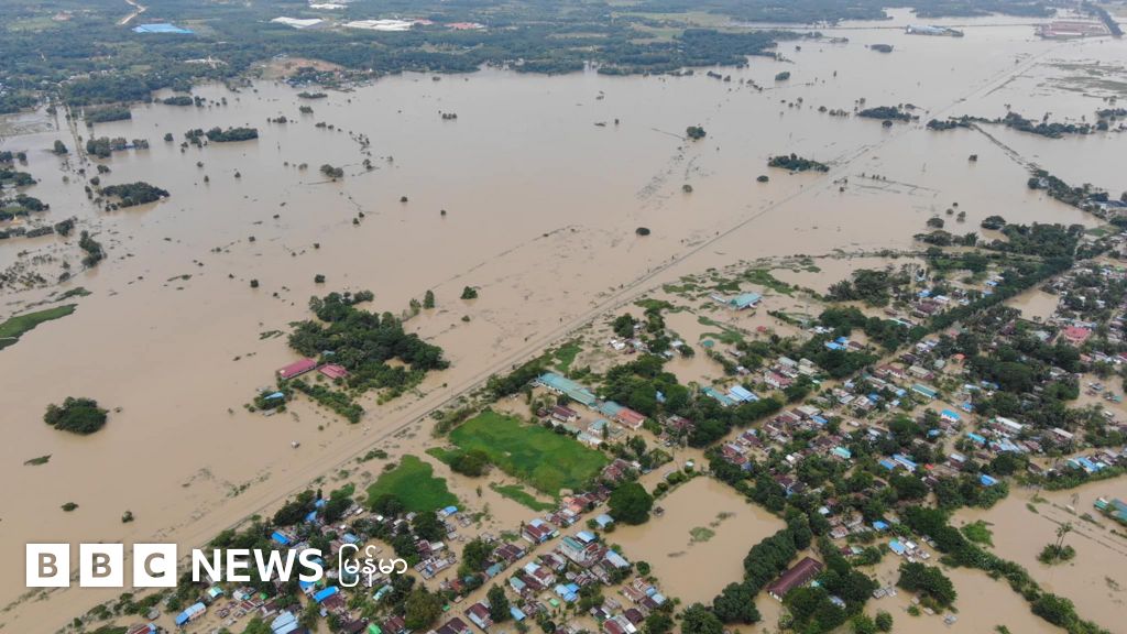 ပဲခူးရေကြီးမှု တောင်သူငိုတဲ့ စပါးဖျက်မိုး Bbc News မြန်မာ