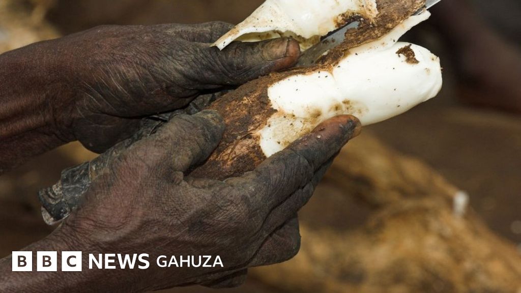 Uganda – Africa: Impamvu umwumbati wafasha kugira ngo ibiciro by ...