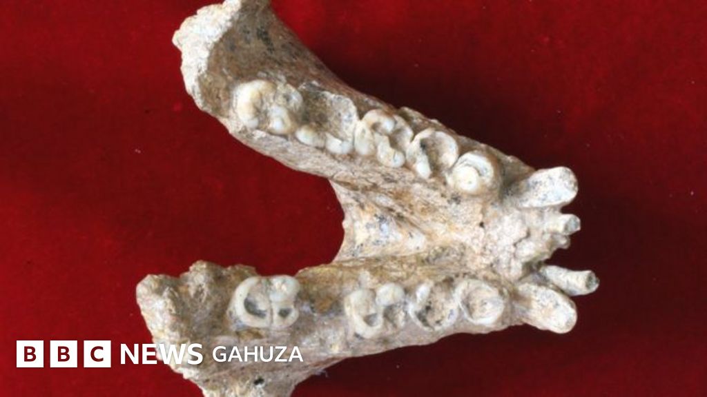 Iryinyo ry'inguge nini cyane yabayeho riri gutuma hari ibisobanuka ...