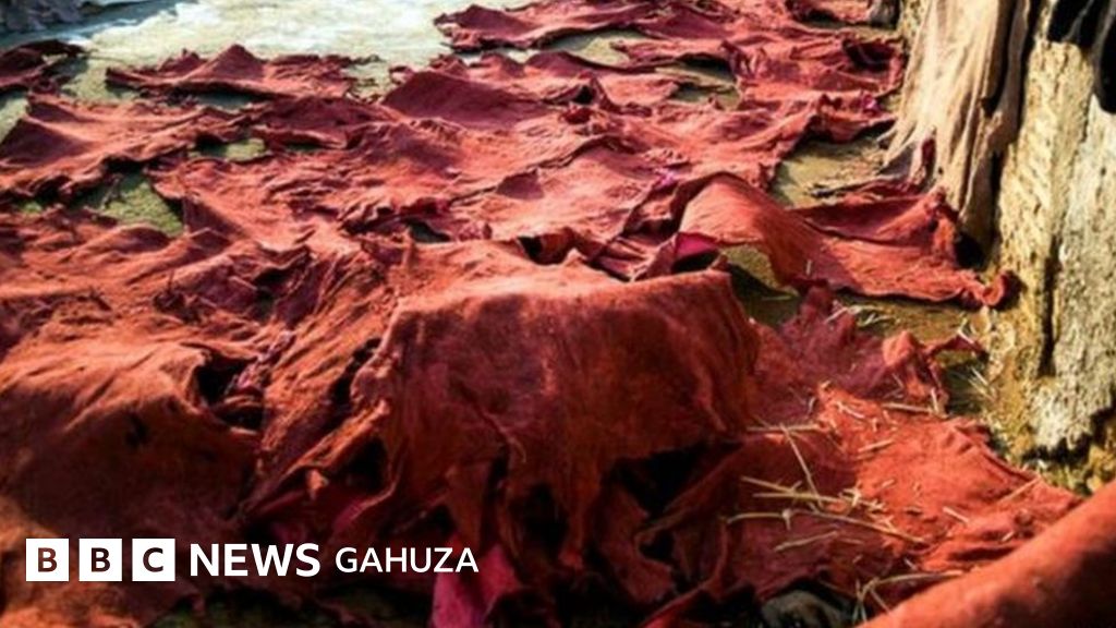 Burkina yahagaritse kugurisha impu mu mahanga - BBC News Gahuza