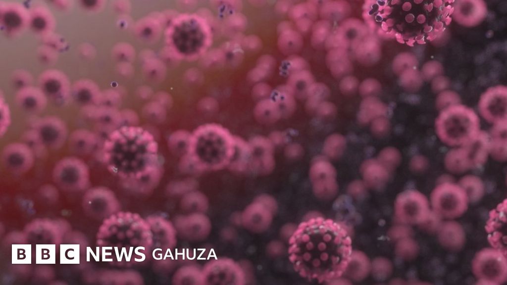 Rwanda: Umubare w'abanduye Covid-19 ukomeje kwiyongera - BBC News Gahuza