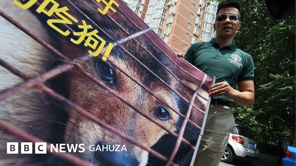 Isabukuru yo kurya inyama z'imbwa mu Bushinwa - BBC News Gahuza