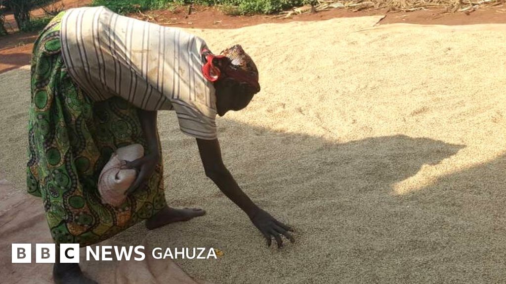 Nyuma y'igihe havugwa inzara, mu Kirundo ubu ngo vyifashe neza - BBC ...