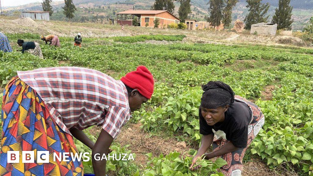 Rwanda: Abagore bahoze barwaje bwaki ubu basigaye bahinga imboga ...