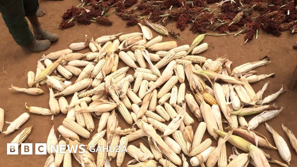 Haravugwa kibazo c'inzara mu burasirazuba bw'u Rwanda - BBC News Gahuza