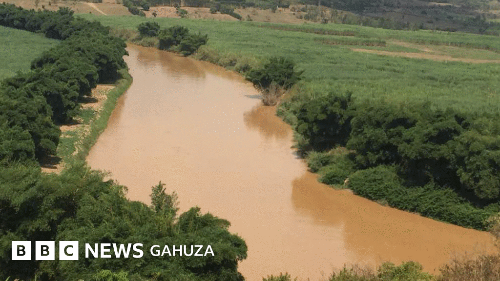 Rwanda: leta yatangiye gufunga ibikorwa byo mu bishanga - BBC News Gahuza