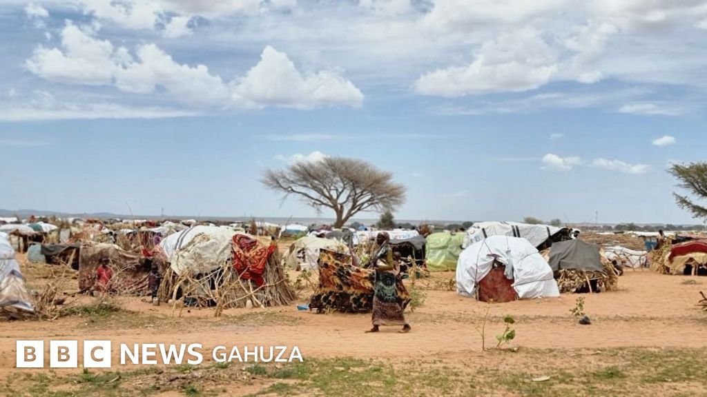 Amabi ya Darfur muri Sudan: Amakuba y’umunyamakuru yavyariye mu nzira ...