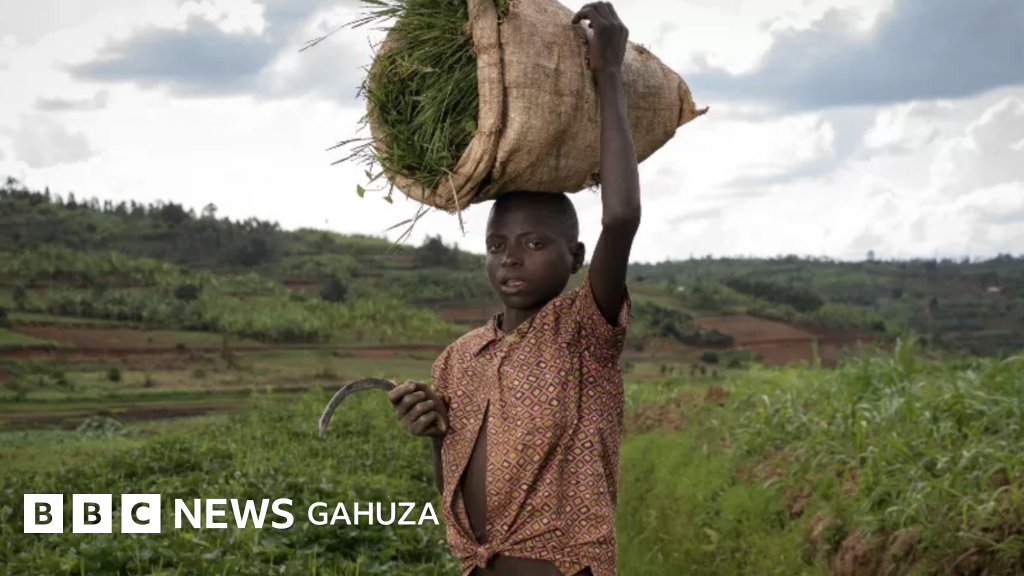 Tahura uko umukene ariwe abangamiye cane n’ihinduka ry’ikirere - BBC ...