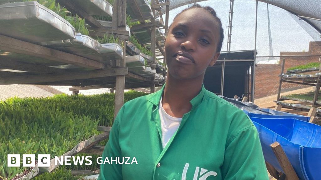 Rwanda-Gicumbi: Guhinga ata butaka - igisubizo mu guhaza amatungo - BBC ...