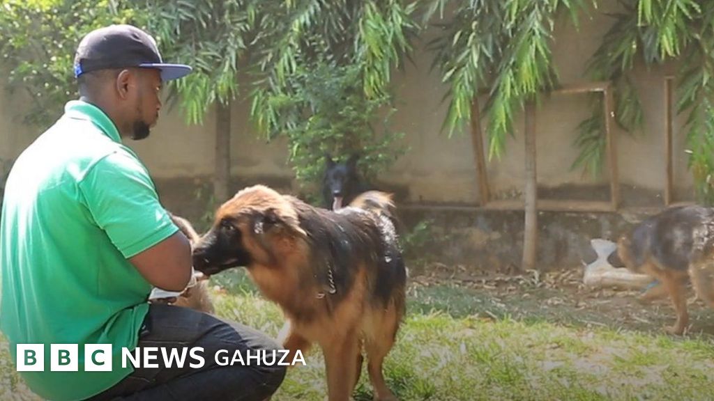 Burundi: Raba Wilson Ndayizeye yorora imbwa akazigisha n'inyifato - BBC ...