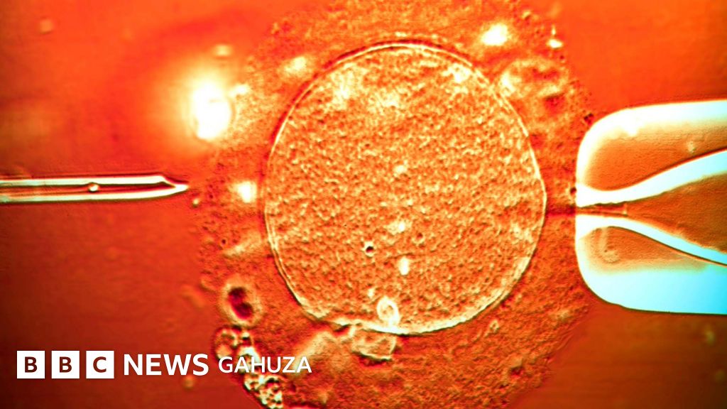 Intanga ngabo zirimwo uduce ndangakamere dutera kanseri zakoreshejwe mu ...