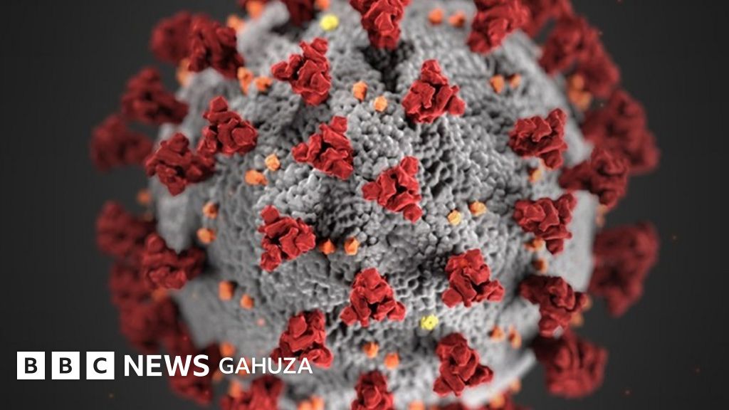 Ibimenyetso bya Covid-19 n'amakuru kuri iyi ndwara - BBC News Gahuza