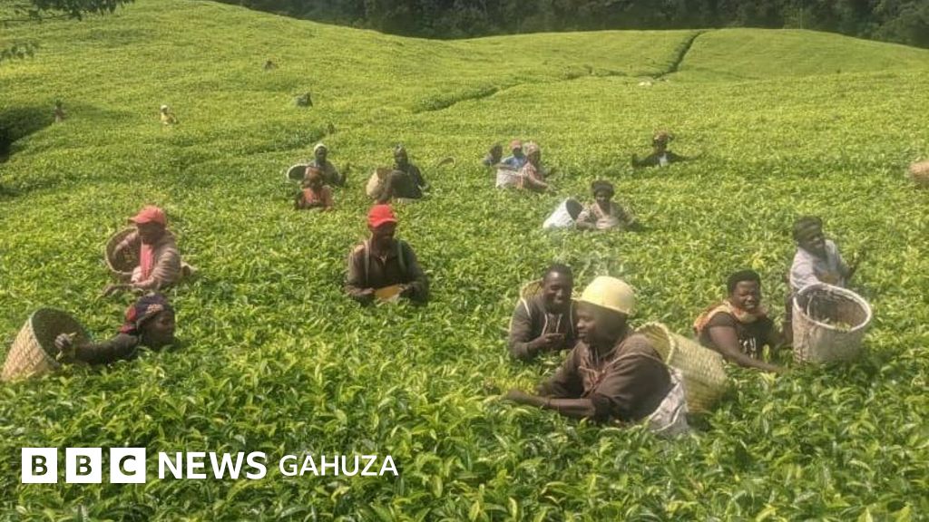 Imvo n'Imvano ku kibazo cy'abimukira b'imbere mu gihugu n'abanyamahanga ...
