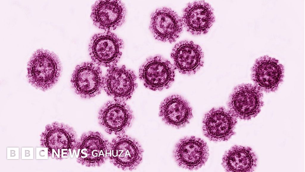 Muganga arasubiza ibibazo byanyu kuri Coronavirus - BBC News Gahuza