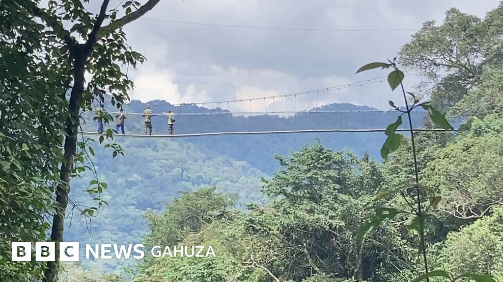 Rwanda: Imvo n’imvano kuri Pariki ya Nyungwe iherutse gushyirwa mu ...