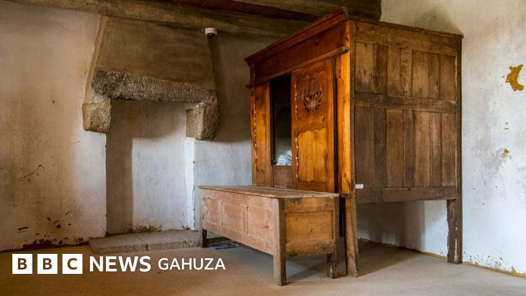 Europe: Kuki Abanyaburaya ba kera baryama mu bubati bw'ibiti? - BBC ...