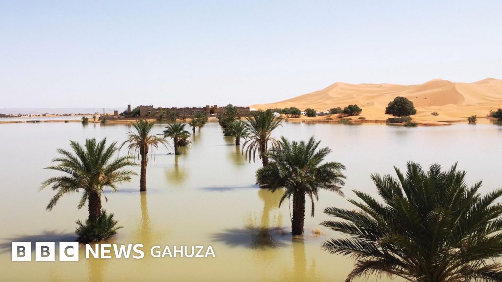 Sahara : amasanamu y'imyuzure y'imbonekarimwe mu bugaragwa itaherukwa ...