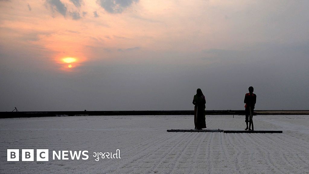 Gujarat Weather : આવનારા દિવસોમાં ગુજરાતમાં કેવું હવામાન જોવા મળશે ...