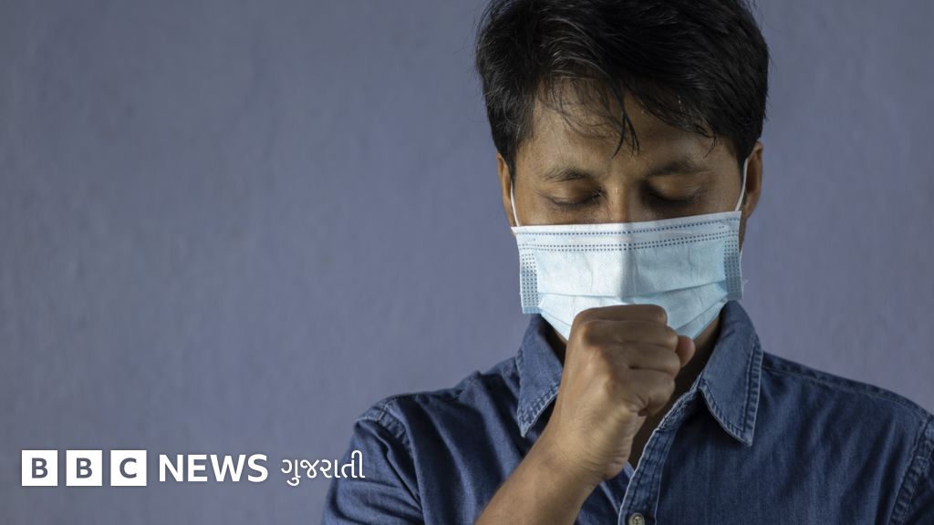 ગુજરાતમાં વાઇરલ તાવ H3N2 : આ વાઇરસ કેટલો ખતરનાક? - BBC News ગુજરાતી